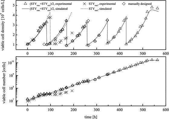 Model-based strategy for cell culture seed train layout verified at lab ...