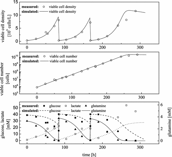 Model-based strategy for cell culture seed train layout verified at lab ...
