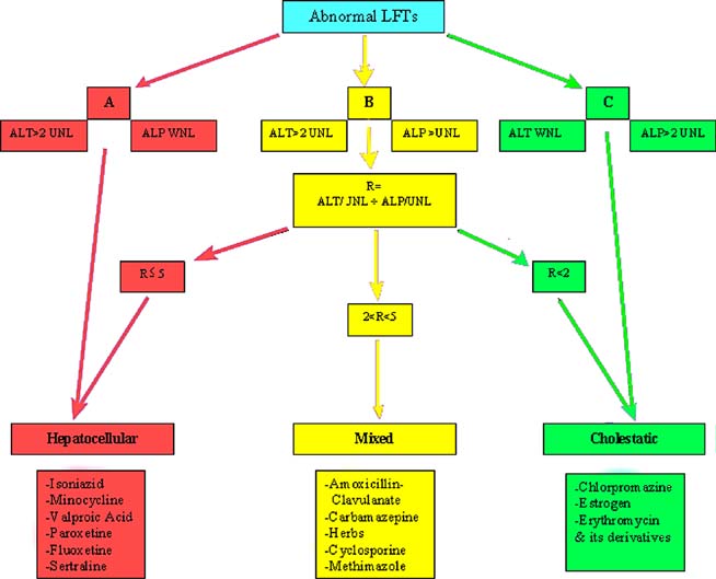 Drug-Induced Liver Injury: Review Article | SpringerLink
