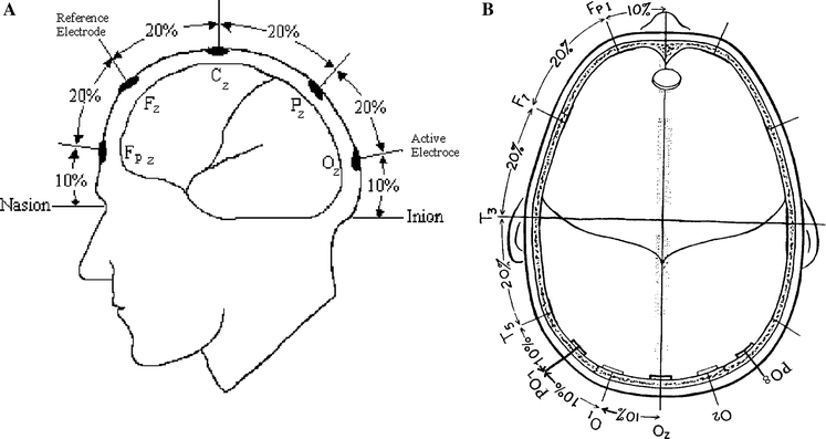 ISCEV standard for clinical visual evoked potentials: (2016 update ...