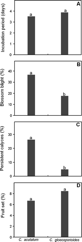 Colletotrichum gloeosporioides, a new causal agent of citrus post-bloom ...