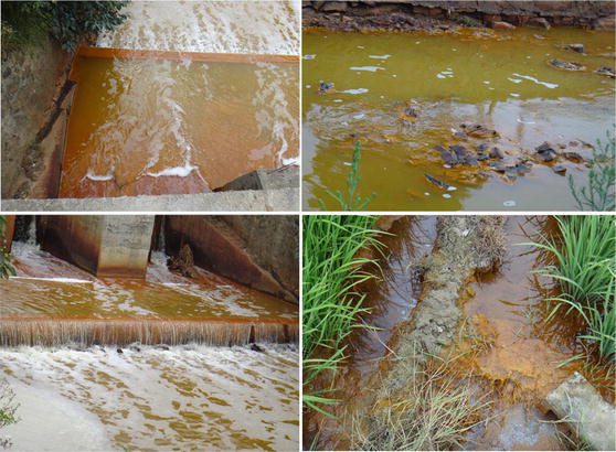 Affects of mining activities on Cd pollution to the paddy soils and ...