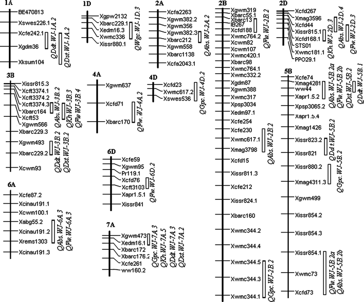 QTL detection of seven quality traits in wheat using two related recombinant inbred line ...
