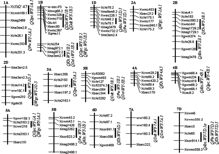 QTL detection of seven quality traits in wheat using two related recombinant inbred line ...