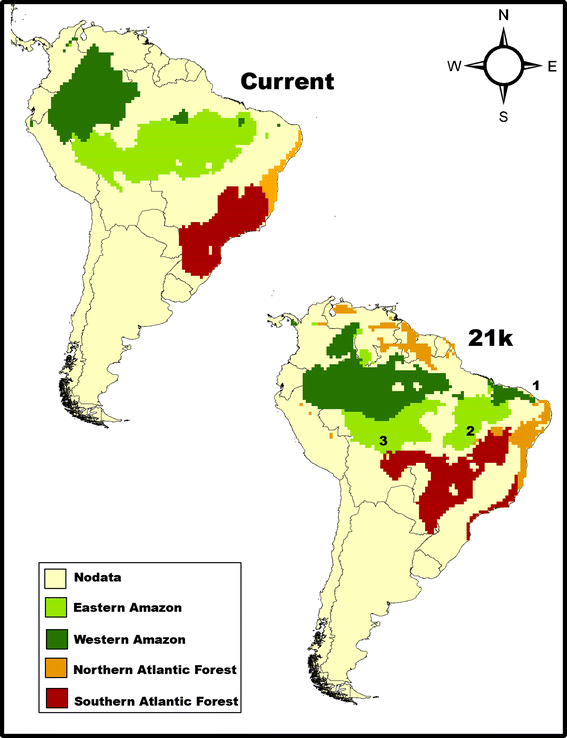 Biogeography of Neotropical Rainforests: past connections between ...