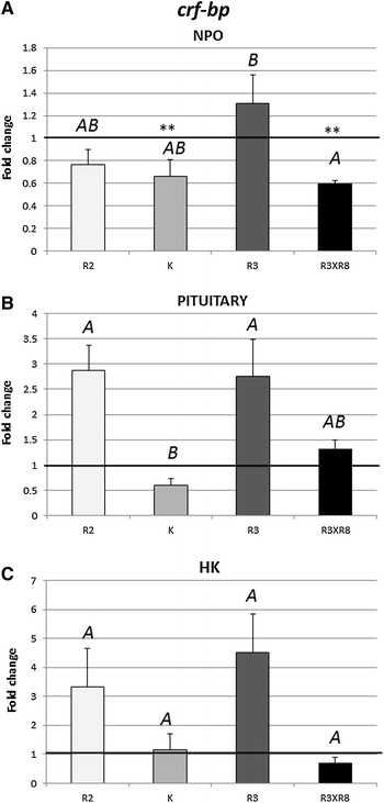 Activity of the hypothalamus–pituitary–interrenal axis (HPI axis) and ...
