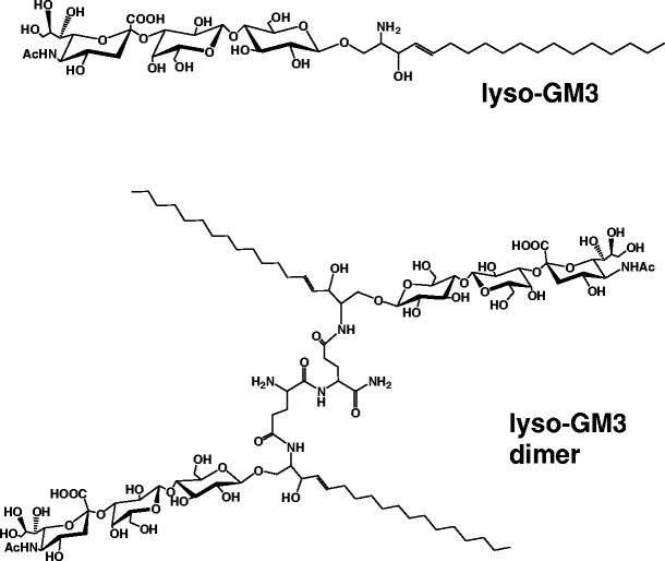 Lyso-GM3, its dimer, and multimer: their synthesis, and their effect on ...