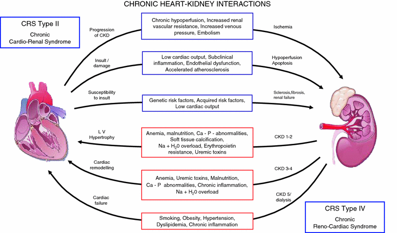 Cardio-renal syndromes: a systematic approach for consensus definition ...