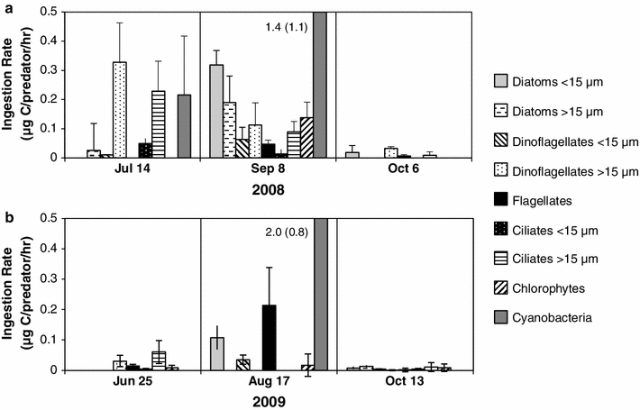 Feeding dynamics of the copepod Diacyclops thomasi before, during and ...