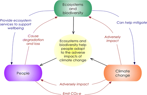 Ecosystem-based approaches to climate change adaptation: progress and ...