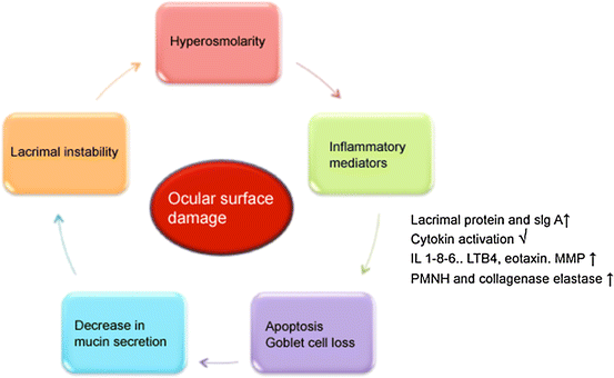 The role and treatment of inflammation in dry eye disease | SpringerLink