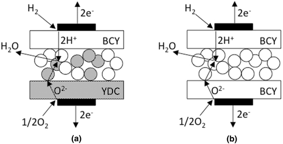 Study of reversible SOFC/SOEC based on a mixed anionic-protonic ...