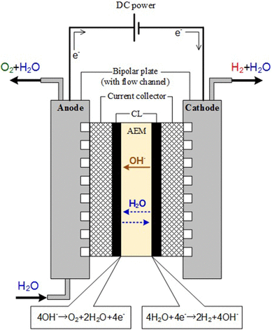 Investigations on electrode configurations for anion exchange membrane ...