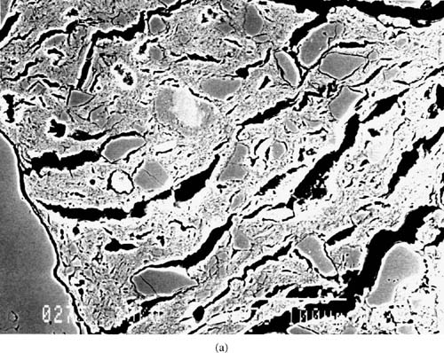 Explaining Shell-Tempered Pottery in Prehistoric Eastern North America ...