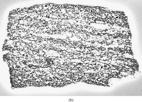 Explaining Shell-Tempered Pottery in Prehistoric Eastern North America ...