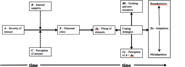 Using the Double ABCX Model to Integrate Services for Families of ...