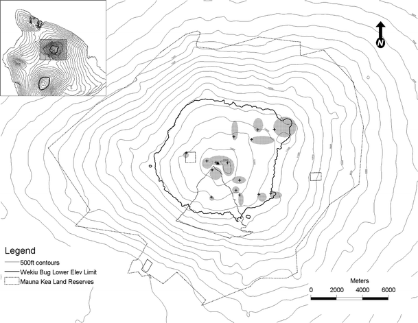 Life history and captive rearing of the Wekiu bug ( Nysius wekiuicola ...