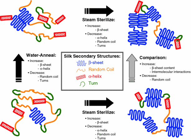 Processing methods to control silk fibroin film biomaterial features ...