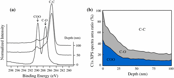 Depth profile XPS analysis of polymeric materials by C60+ ion ...