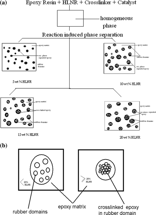 Epoxy resin/liquid natural rubber system: secondary phase separation ...