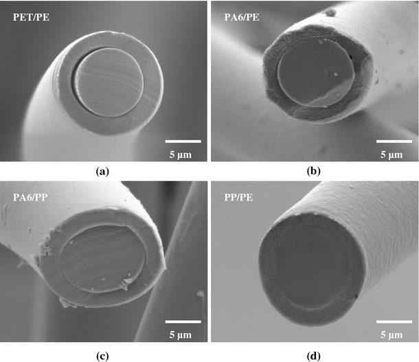 Influence of polymer type, composition, and interface on the structural ...
