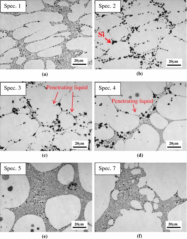 Analysis of microstructure evolution and precise solid fraction ...
