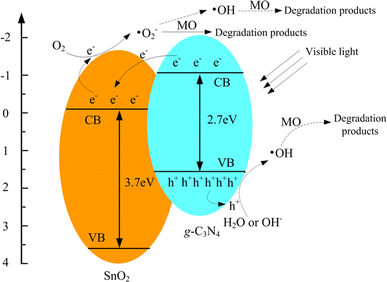 SnO2/g-C3N4 photocatalyst with enhanced visible-light photocatalytic ...