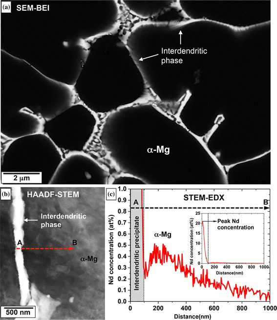 Homogeneous and heterogeneous precipitation mechanisms in a binary Mg ...