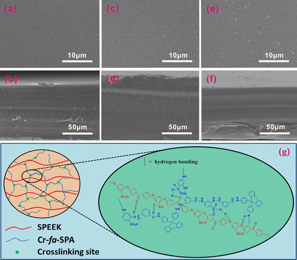 Cross-linked fully aromatic sulfonated polyamide as a highly efficiency ...