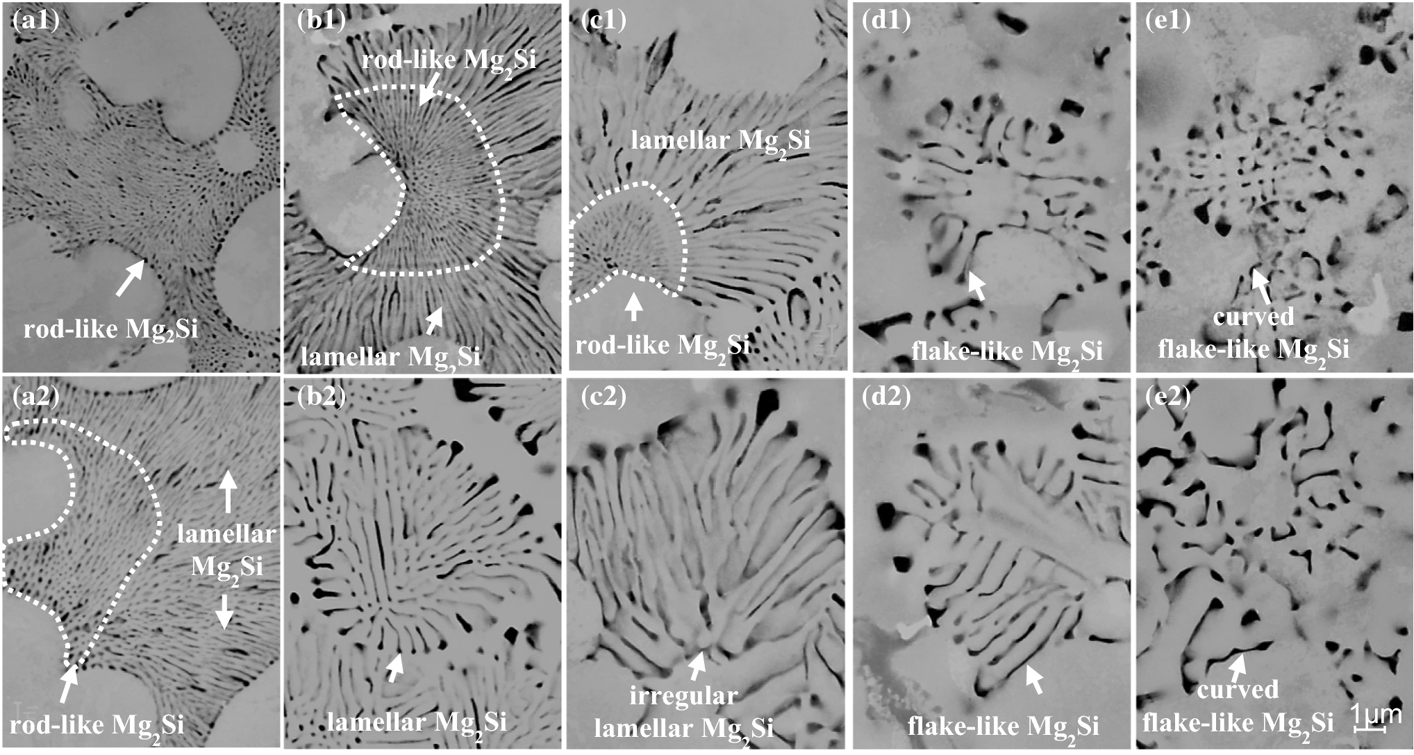 The effects of varying Mg and Si levels on the microstructural ...