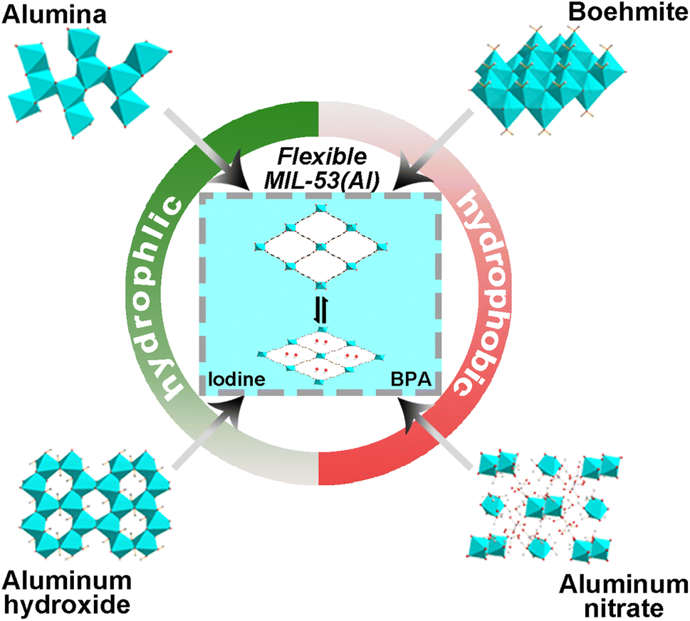 Common but differentiated flexible MIL-53(Al): role of metal sources in ...