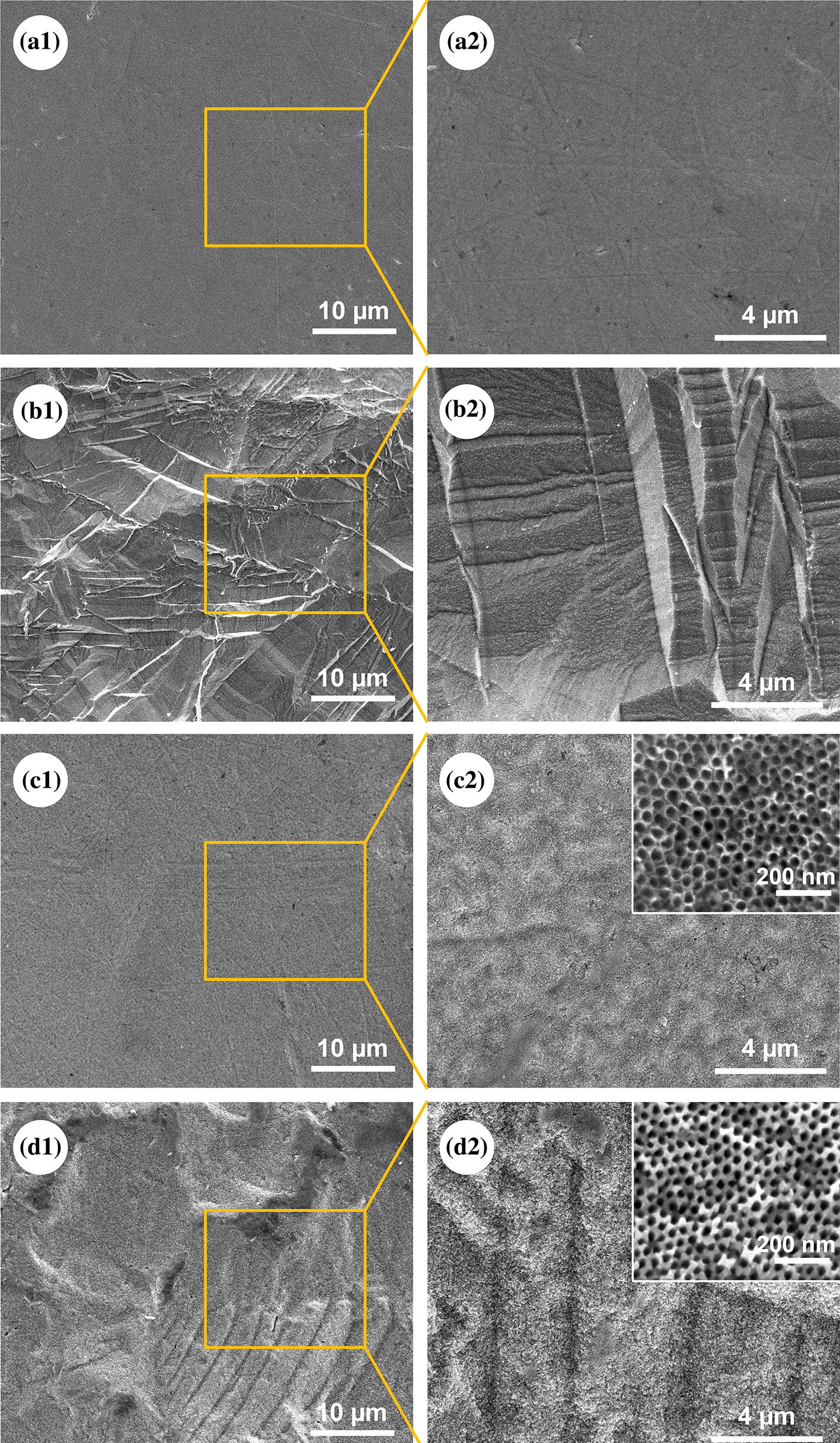 Morphologically modified surface with hierarchical micro-/nano ...
