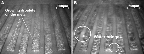 In situ optical inspection of electrochemical migration during THB ...