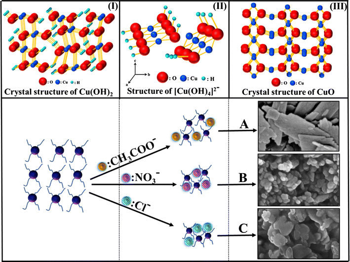 Fabrication of diverse CuO nanostructures via hydrothermal method and their photocatalytic ...