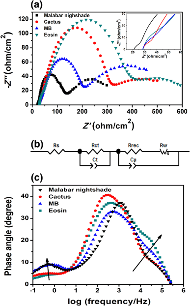 Solvothermal synthesis of hexagonal pyramidal and bifrustum shaped ZnO ...