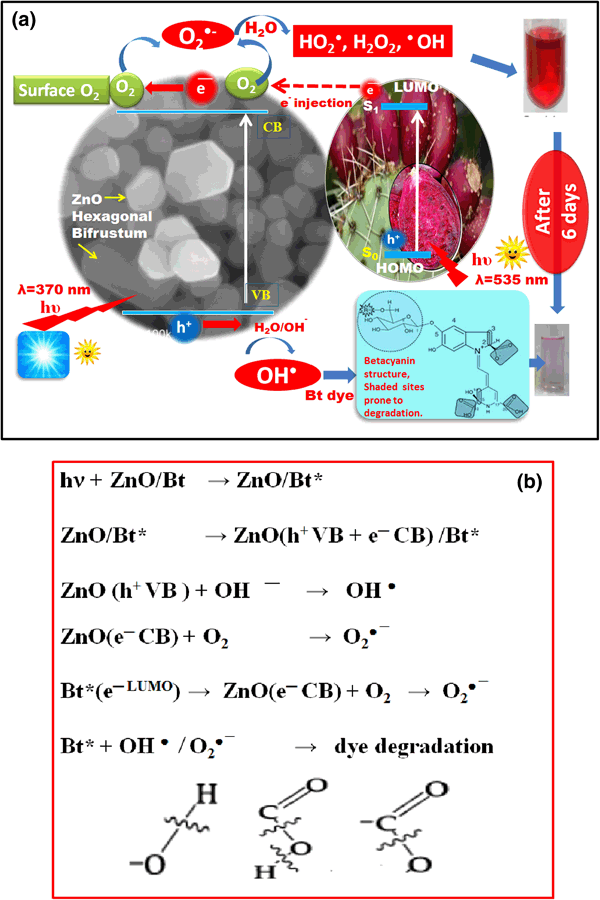 Solvothermal synthesis of hexagonal pyramidal and bifrustum shaped ZnO ...
