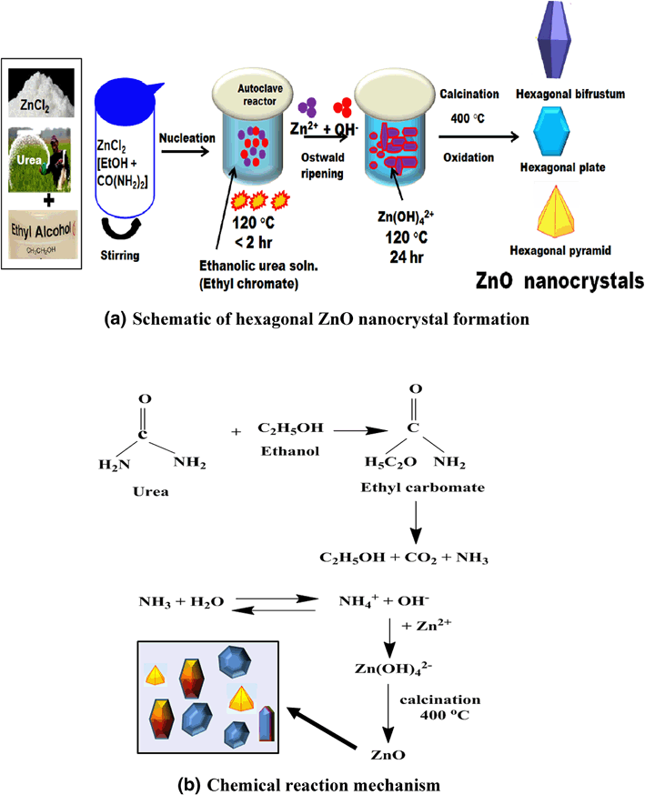 Solvothermal synthesis of hexagonal pyramidal and bifrustum shaped ZnO ...