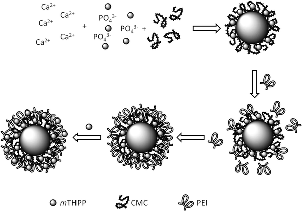 Positively charged calcium phosphate/polymer nanoparticles for ...