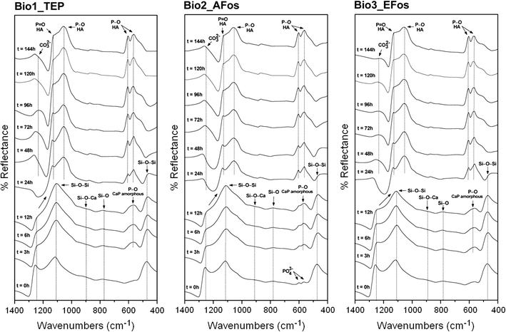 The influence of phosphorus precursors on the synthesis and bioactivity of SiO2–CaO–P2O5 sol–gel ...