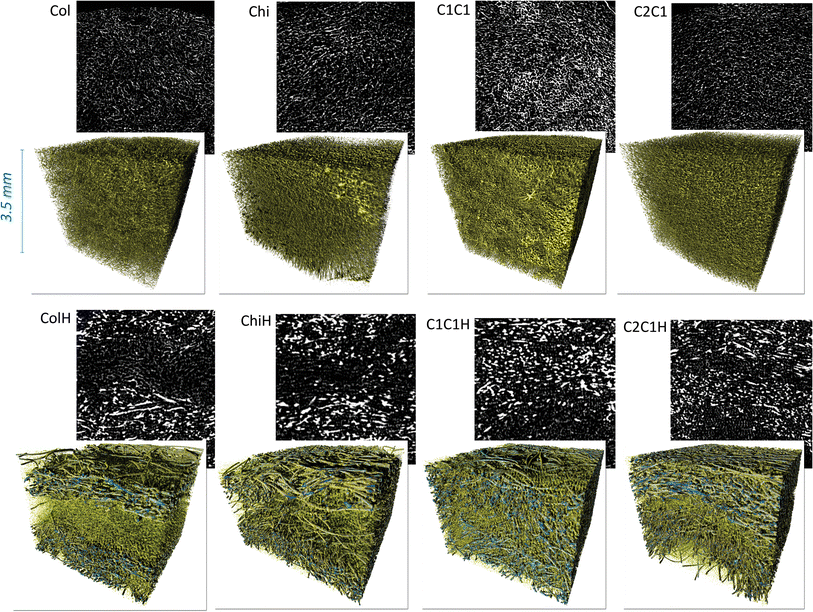 Preparation and characterization of collagen/PLA, chitosan/PLA, and ...