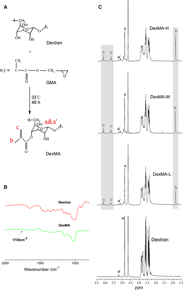 Cell-laden photocrosslinked GelMA–DexMA copolymer hydrogels with ...