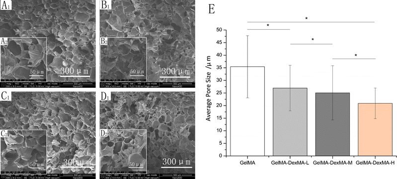 Cell-laden photocrosslinked GelMA–DexMA copolymer hydrogels with ...