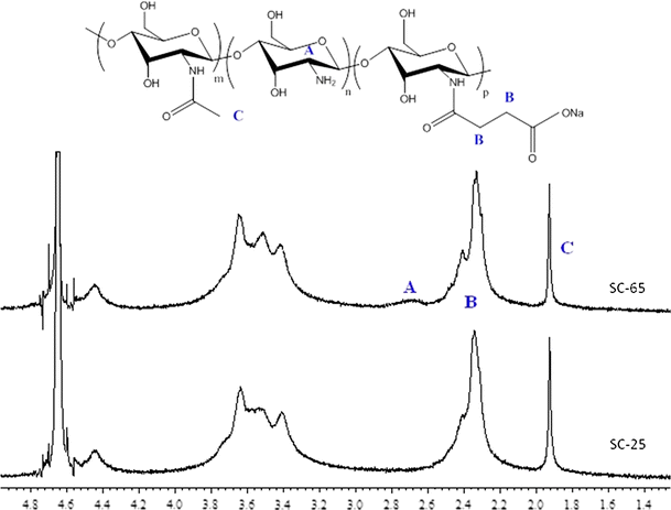 Synthesis, physiochemical characterization, and biocompatibility of a chitosan/dextran-based ...
