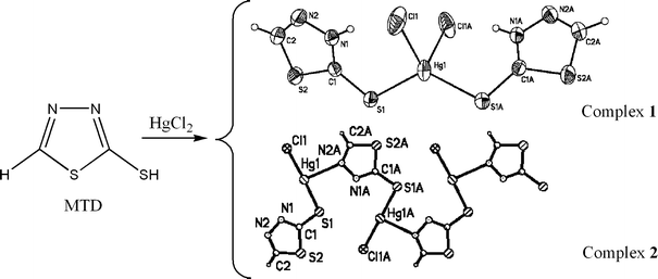 Two Novel Crystal Structures of 2-Mercapto-1,3,4-thiadiazole Complexes ...