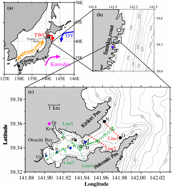 Influence of the Oyashio Current and Tsugaru Warm Current on the ...
