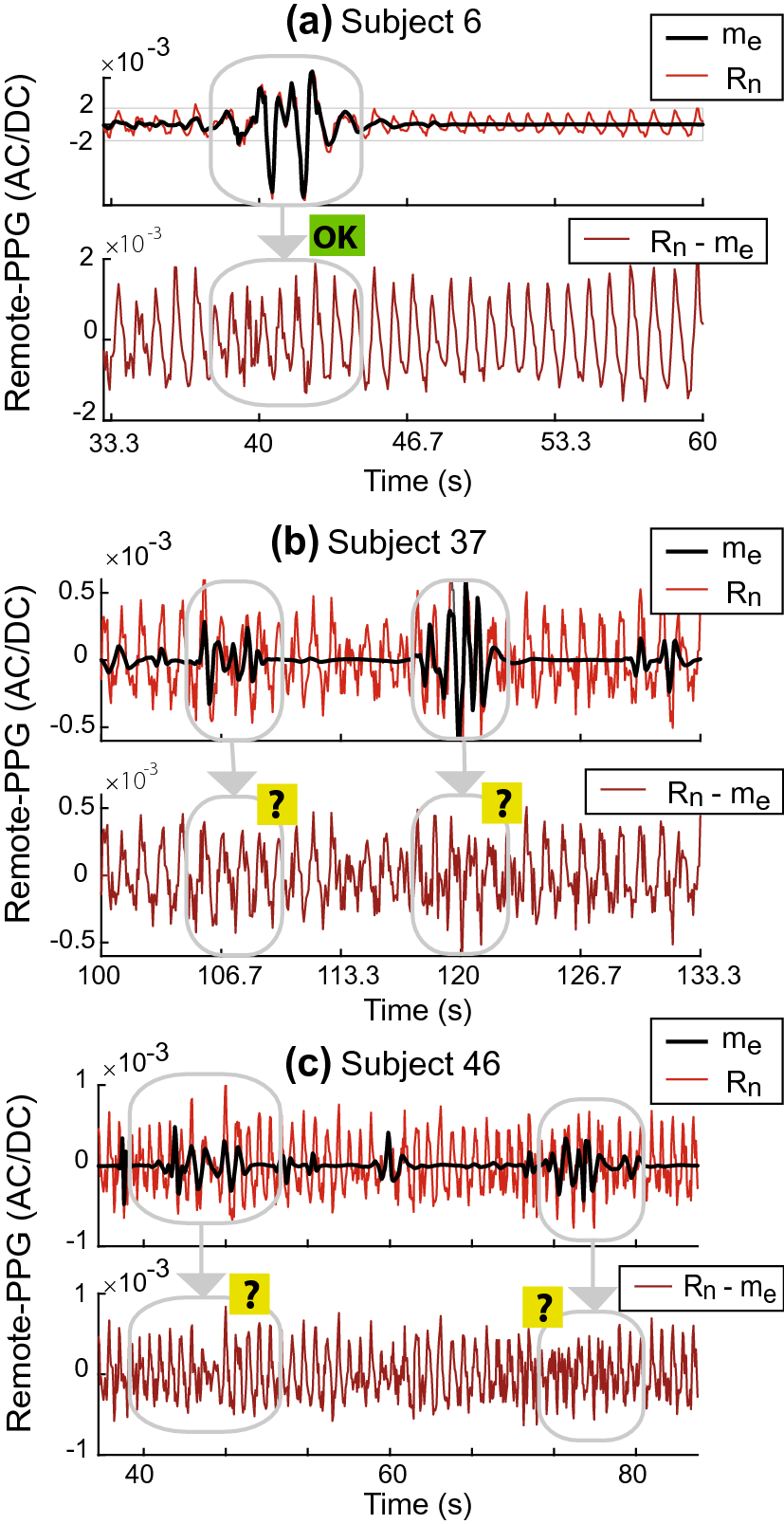 Pulse oximetry based on photoplethysmography imaging with red and green ...