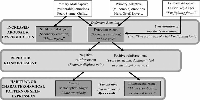 Problem Anger in Psychotherapy: An Emotion-Focused Perspective on Hate ...