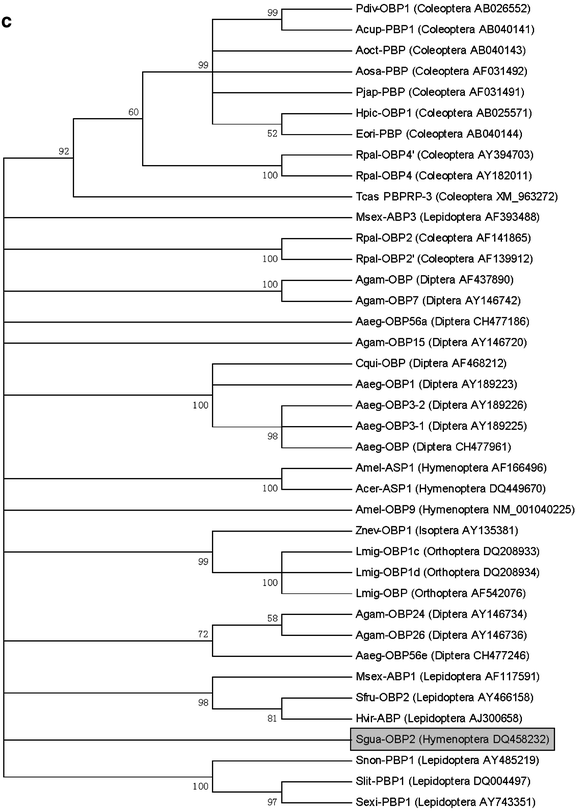 Identification and Molecular Cloning of Putative Odorant-Binding ...