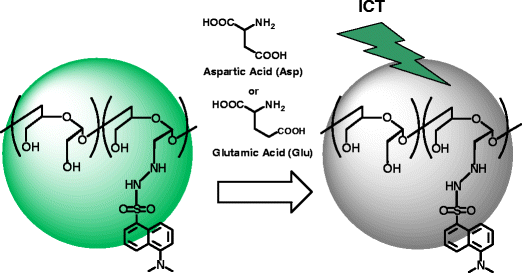 Selective Fluorescent Detection of Aspartic Acid and Glutamic Acid ...