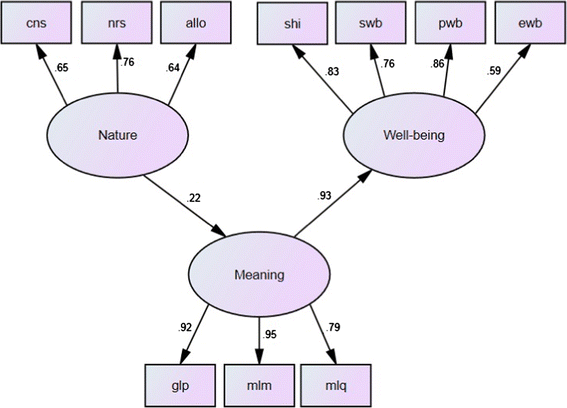 Meaning in Nature: Meaning in Life as a Mediator of the Relationship ...